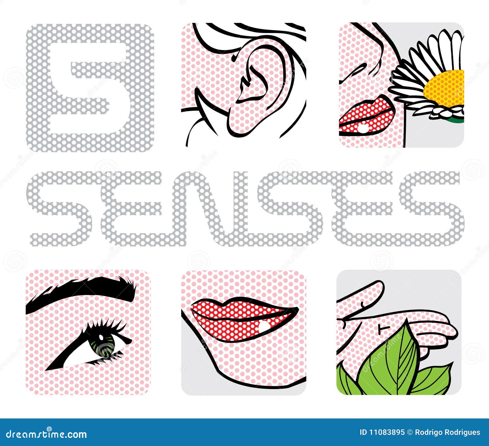 Human Five Taste Infographic. Vector Flat Modern Illustration. Tongue ...