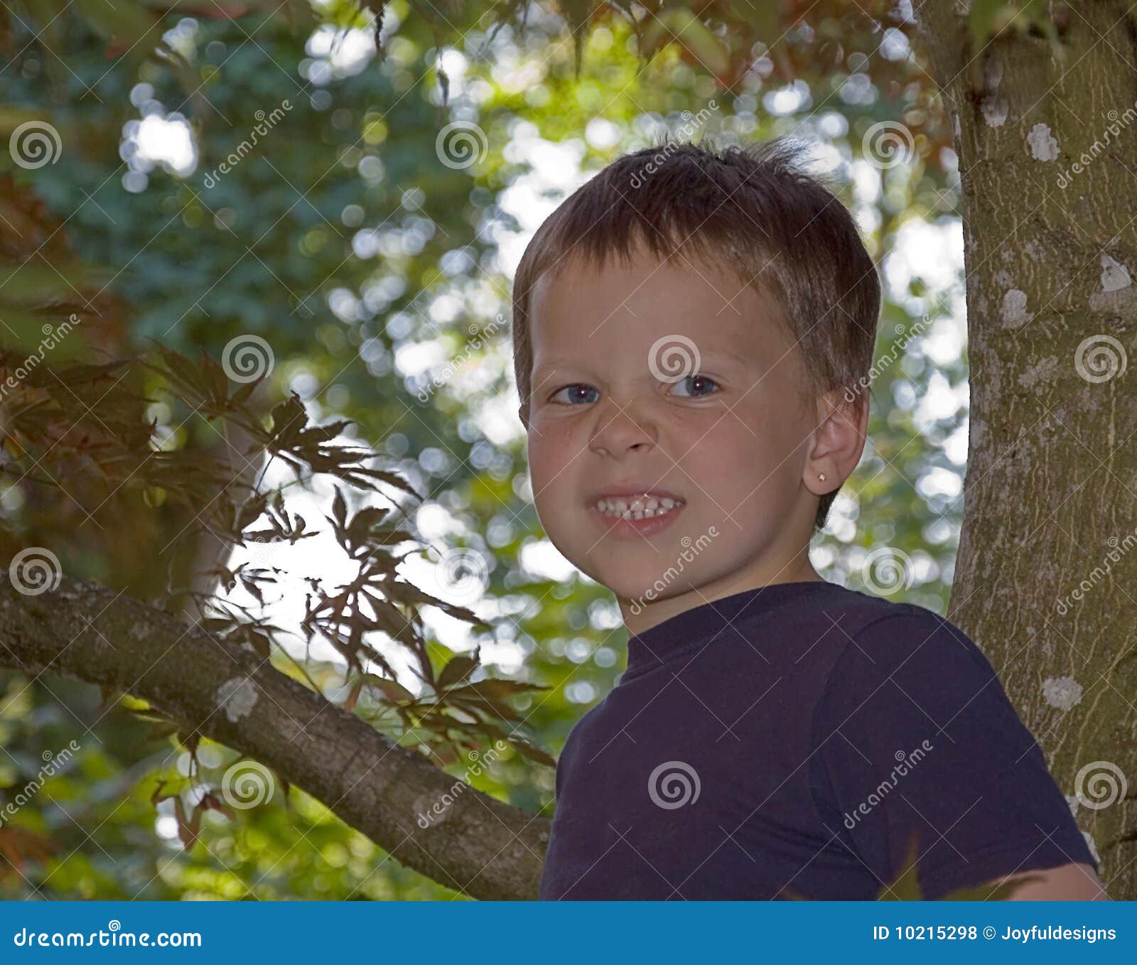 5 Year Old Boy in Tree stock photo. Image of tiny, earring - 10215298