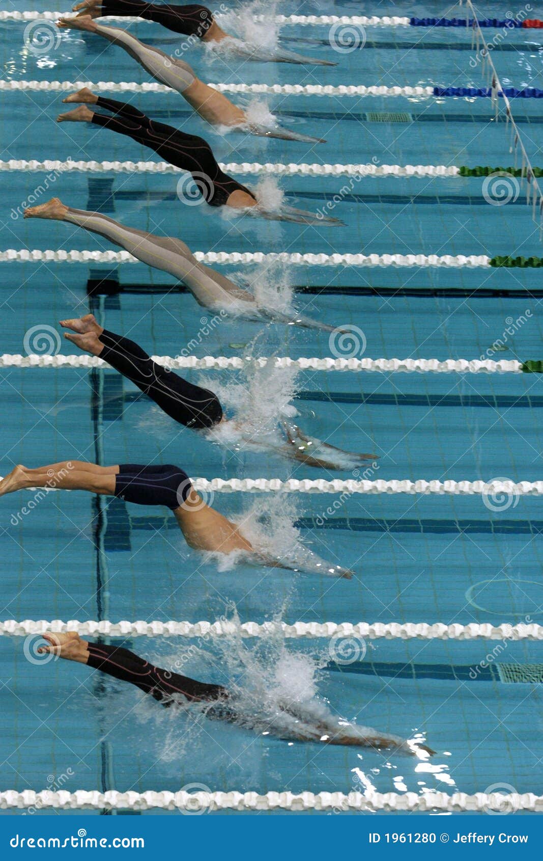 50m start 3 stock photo. Image of pool, athletes, race - 1961280