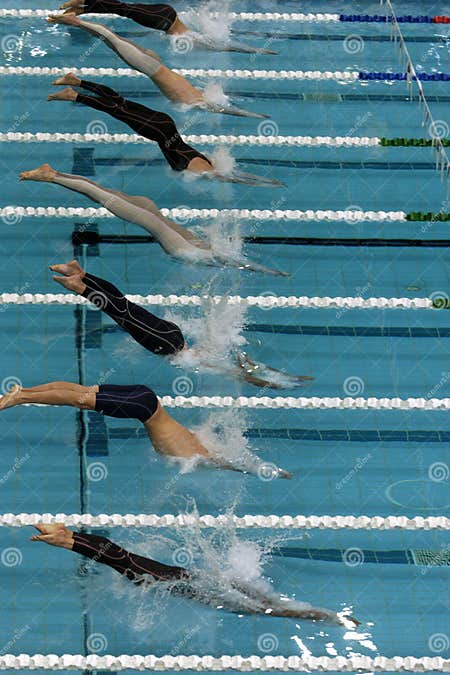50m start 3 stock photo. Image of pool, athletes, race - 1961280