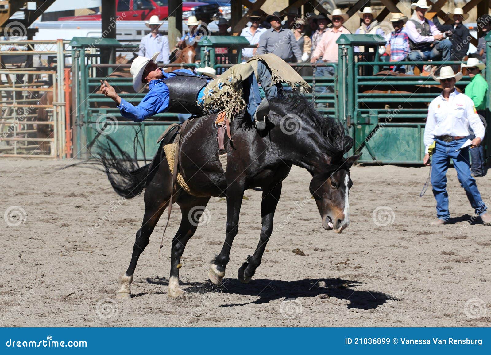 52nd Annual Pro Rodeo editorial stock image. Image of columbia - 21036899