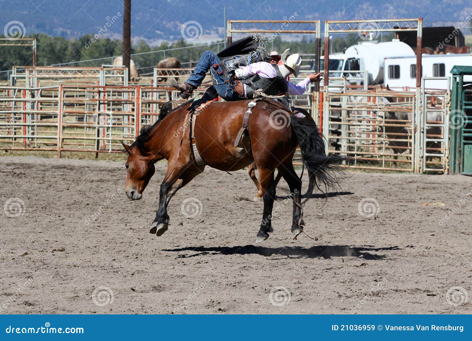52nd Annual Pro Rodeo editorial stock image. Image of competitors ...