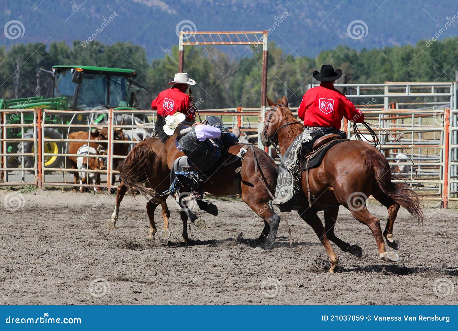 52nd Annual Pro Rodeo editorial stock image. Image of ranch - 21037059