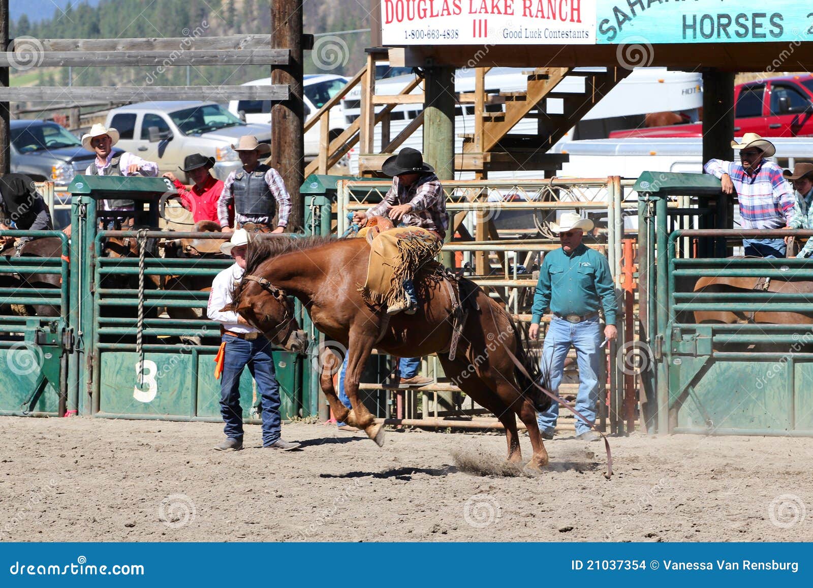 52nd Annual Pro Rodeo editorial stock image. Image of country - 21037354