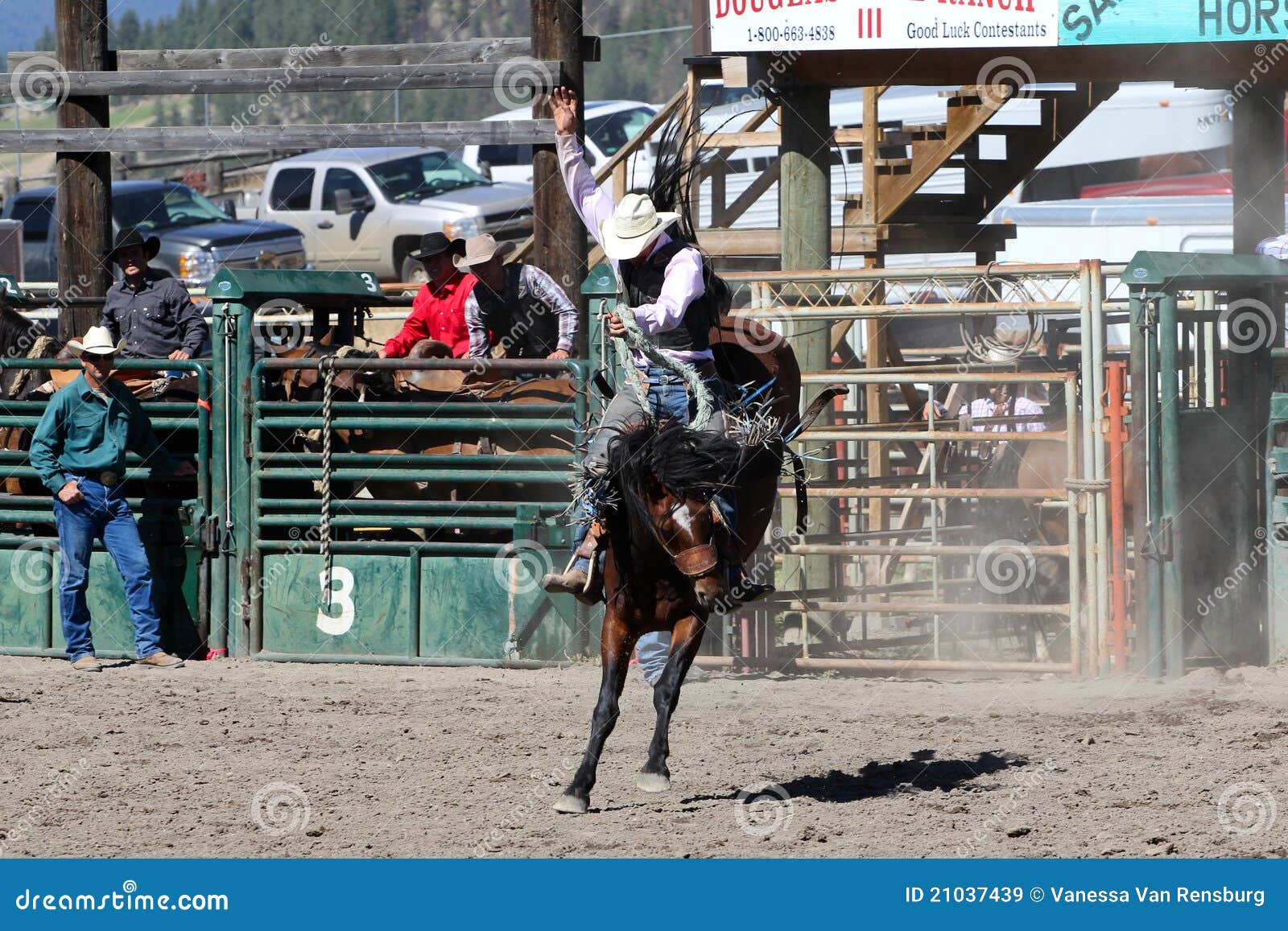 52nd Annual Pro Rodeo editorial stock image. Image of compete - 21037439