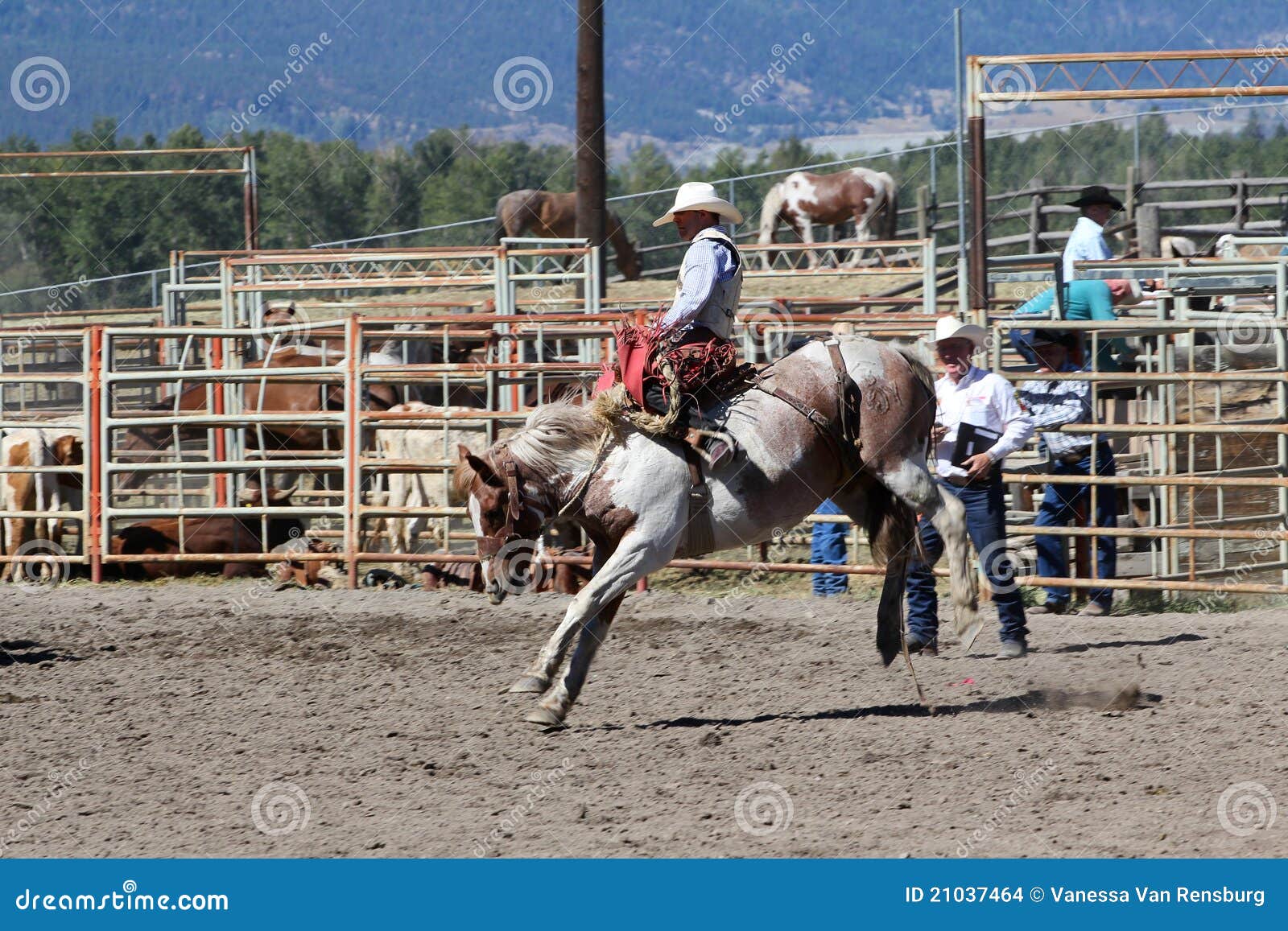 52nd Annual Pro Rodeo editorial stock image. Image of lariat - 21037464