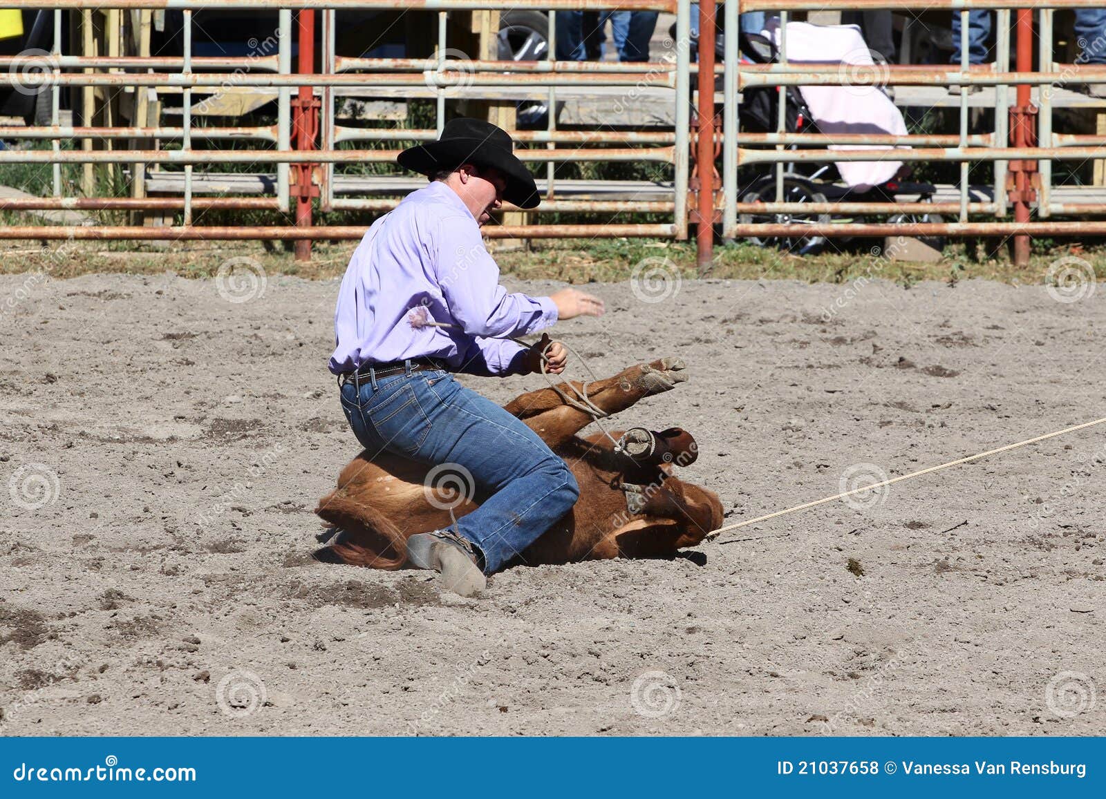 52nd Annual Pro Rodeo editorial stock photo. Image of compete - 21037658