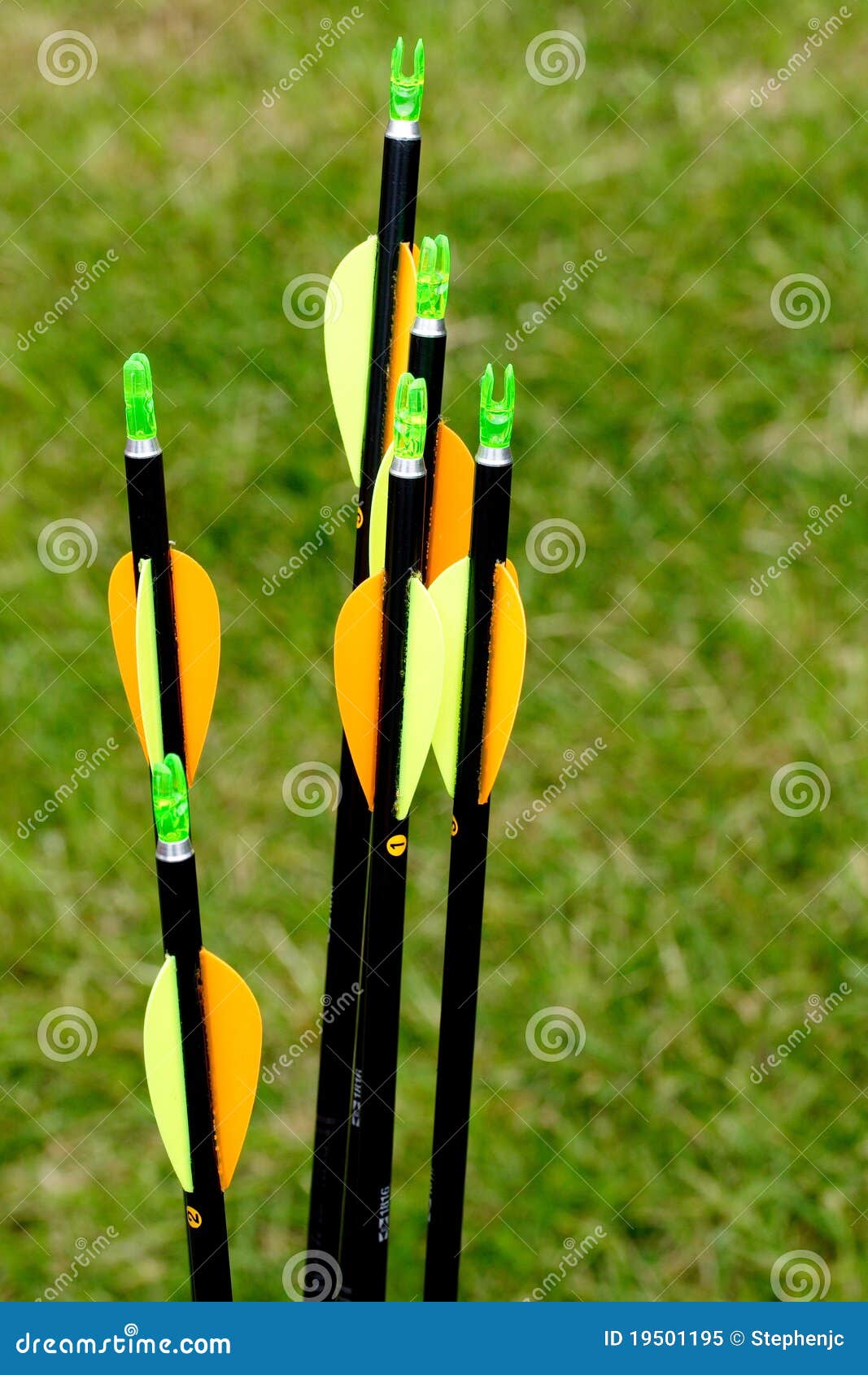 6 arrows stock image. Image of shoot, fletchings, numbered - 19501195