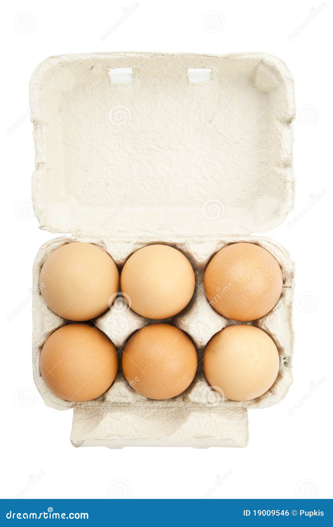6 Eggs In A Box I Royalty Free Stock Image - Image: 19009546
