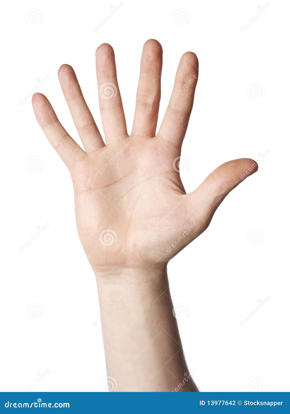 6 Finger stockfoto. Bild von entwicklung, palme, seltsamkeit - 13977642