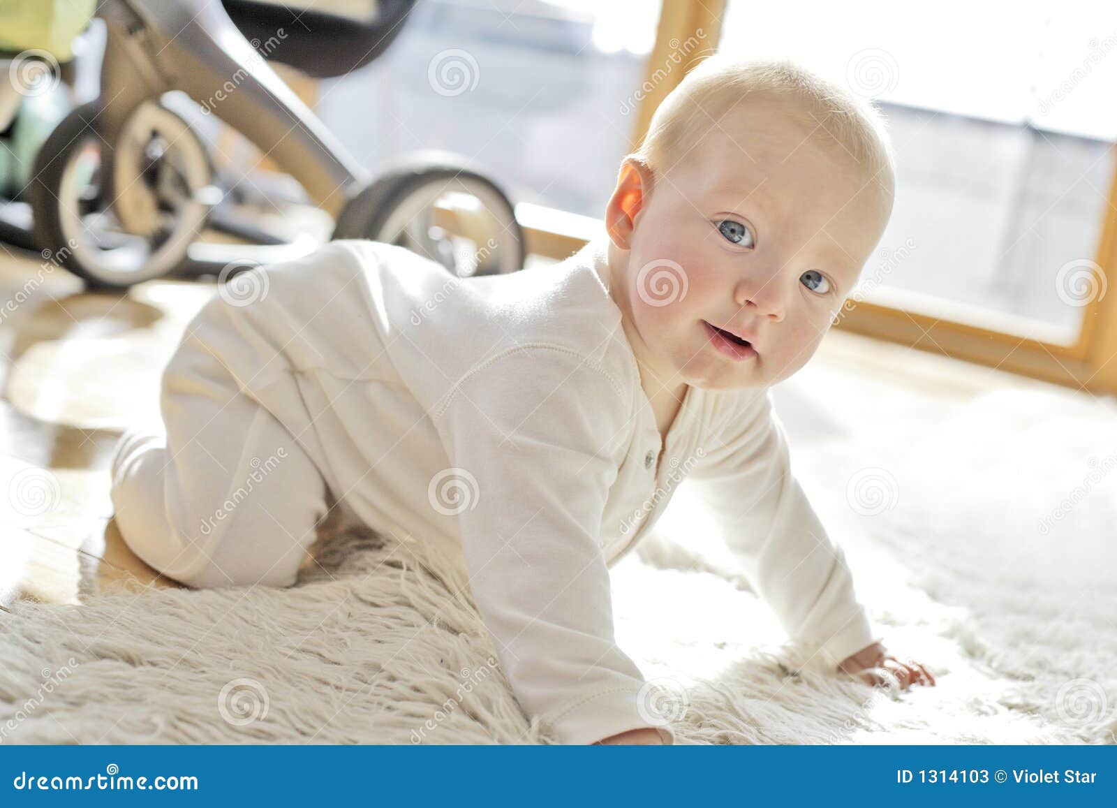 6-Monats-altes Baby stockbild. Bild von monate, leben - 1314103