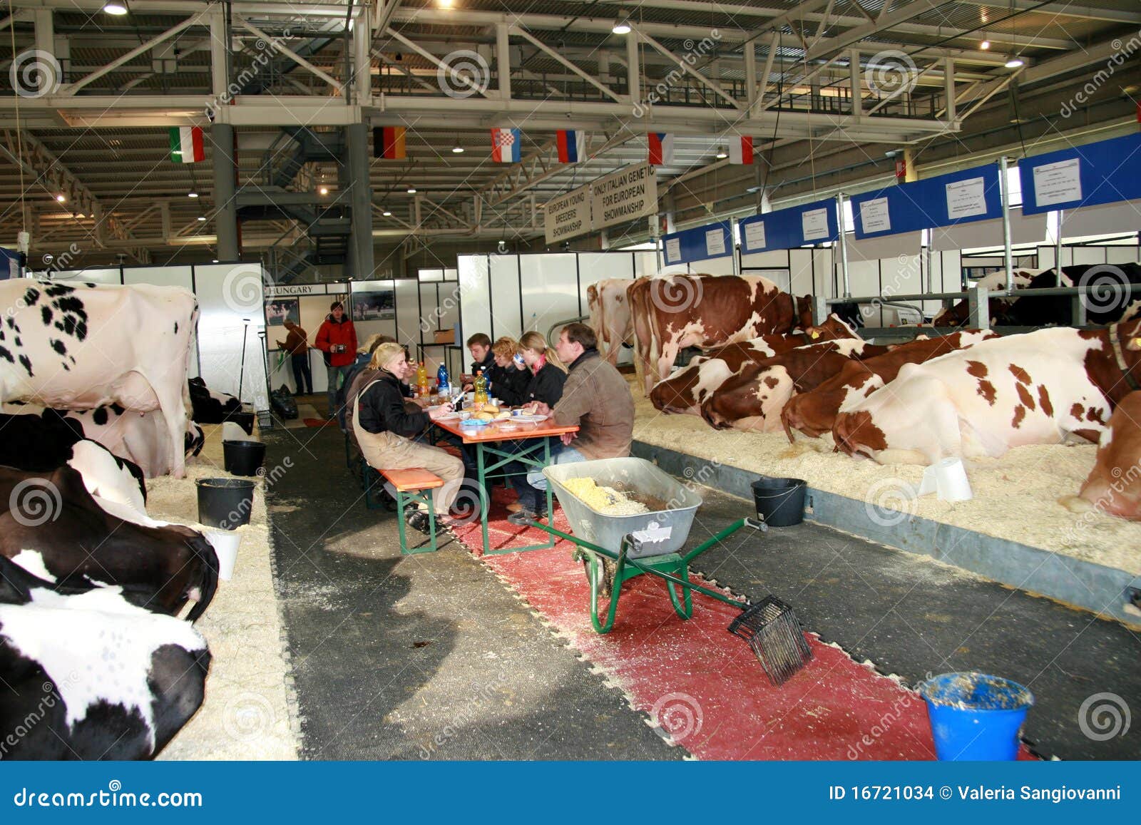 65th International Trade Fair Dairy Cattle Editorial Stock Image ...