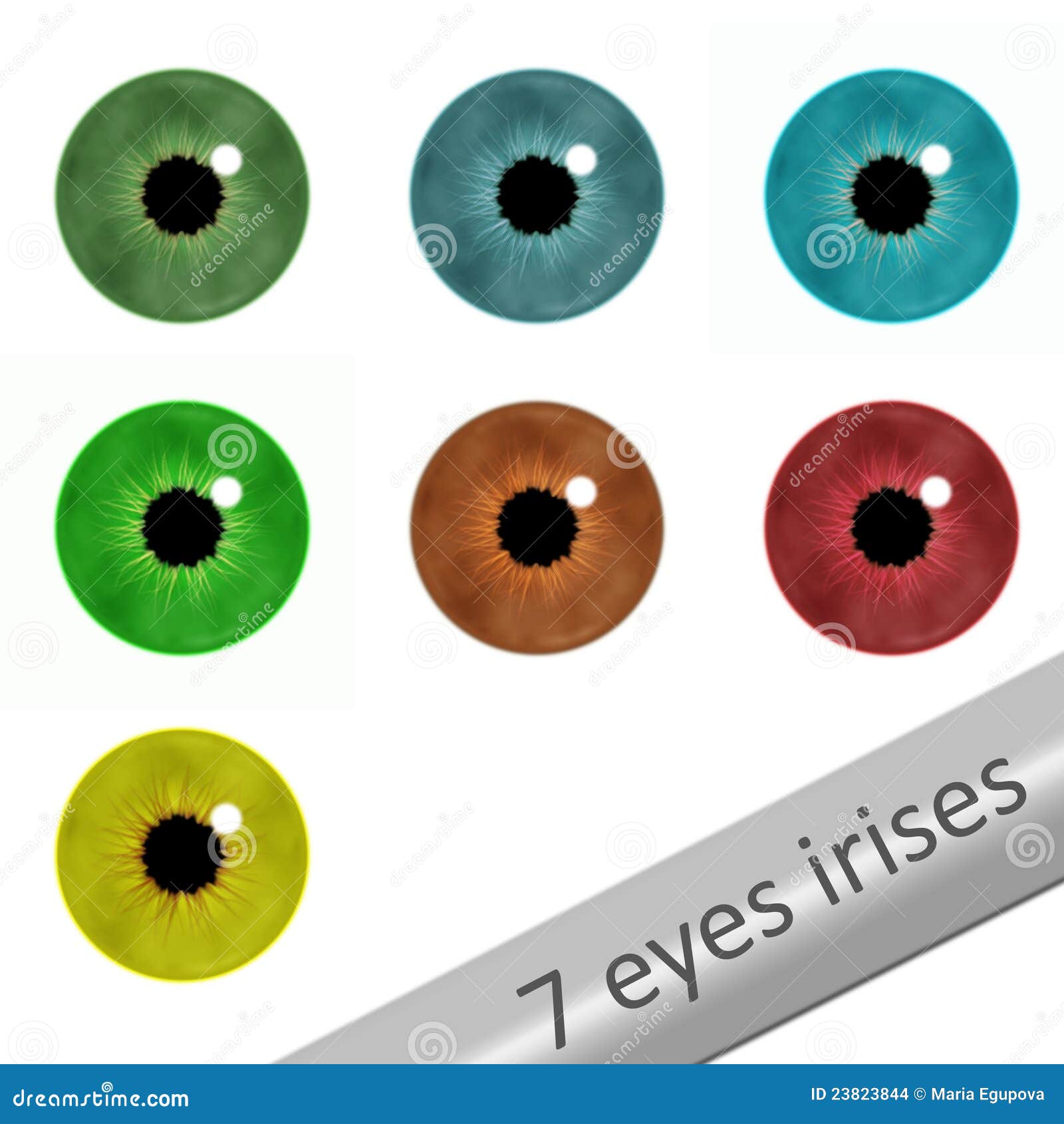 7 iris de yeux illustration stock. Illustration du détail - 23823844