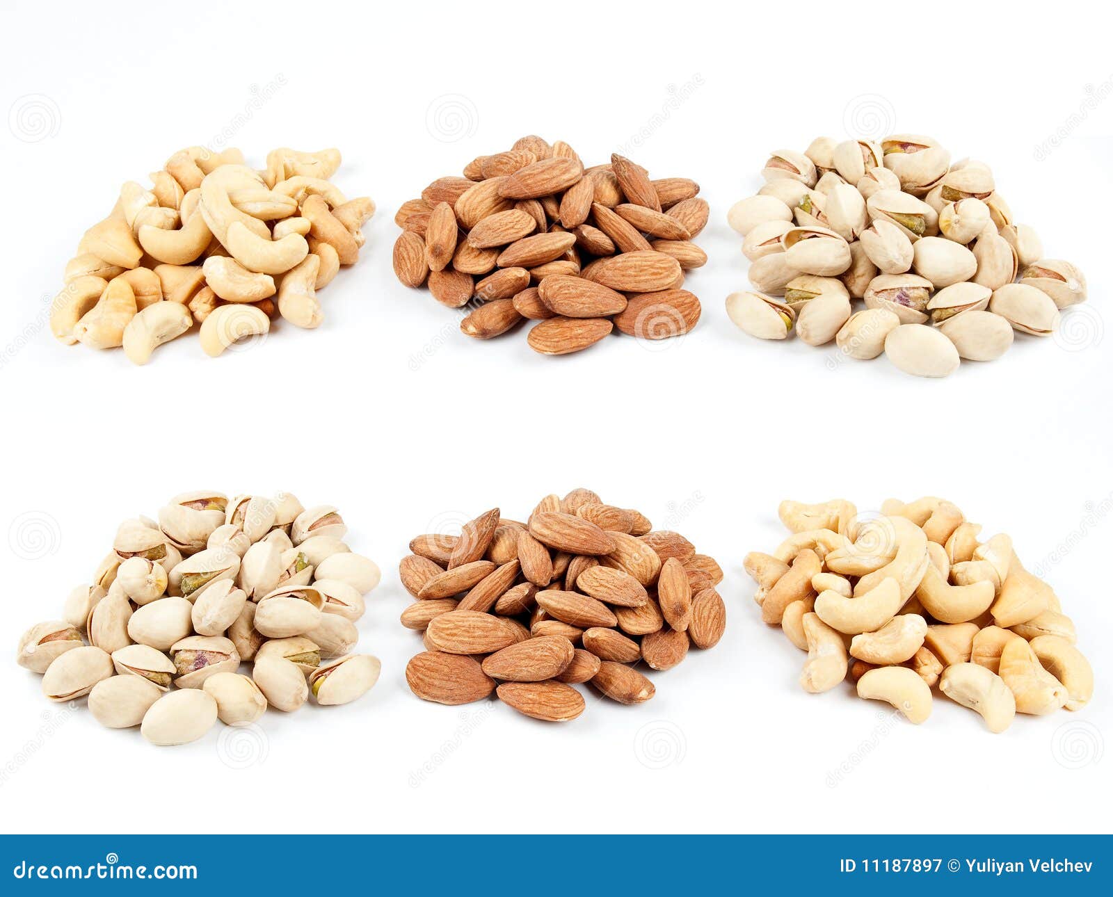 7 muttrar fotografering för bildbyråer. Bild av textur - 11187897