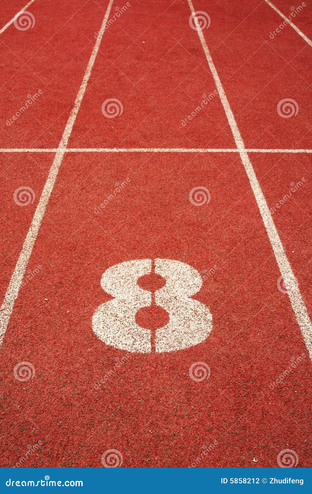 8 on a running track line stock photo. Image of athletic - 5858212