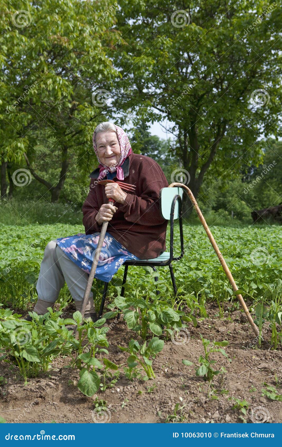 82 Years Old Woman Working in Field Stock Photo - Image of cane, people ...