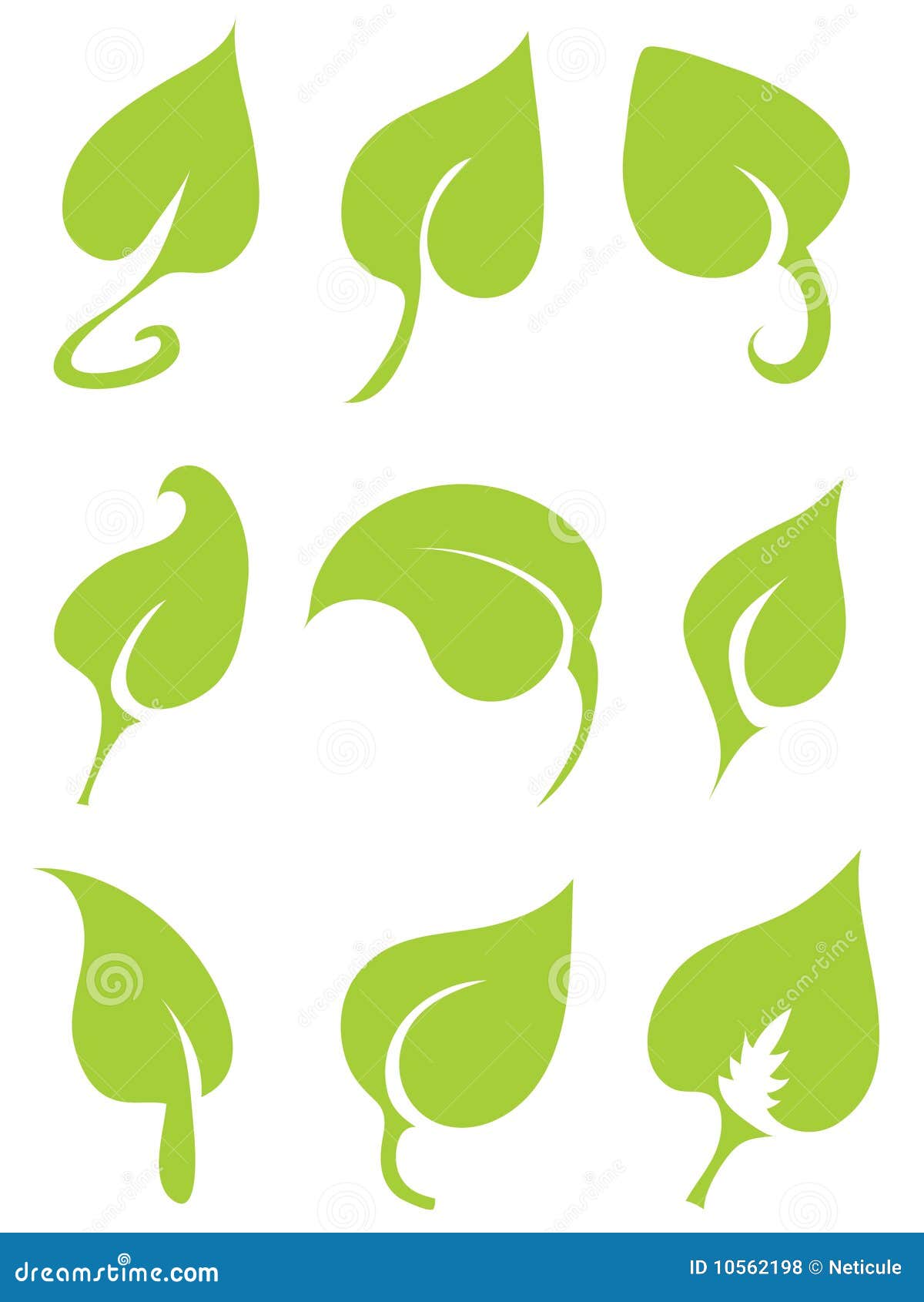 9 hojas verdes del vector ilustración del vector. Ilustración de imagen ...