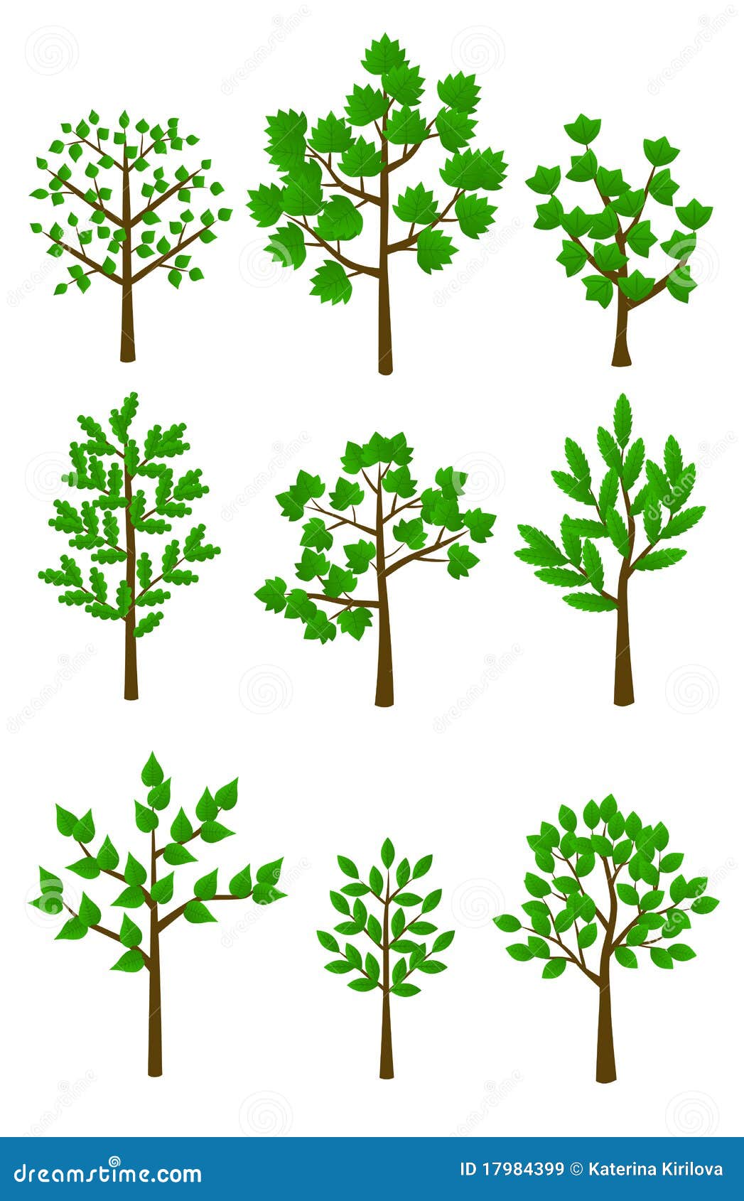 9 trees stock vector. Illustration of white, summer, trunk - 17984399
