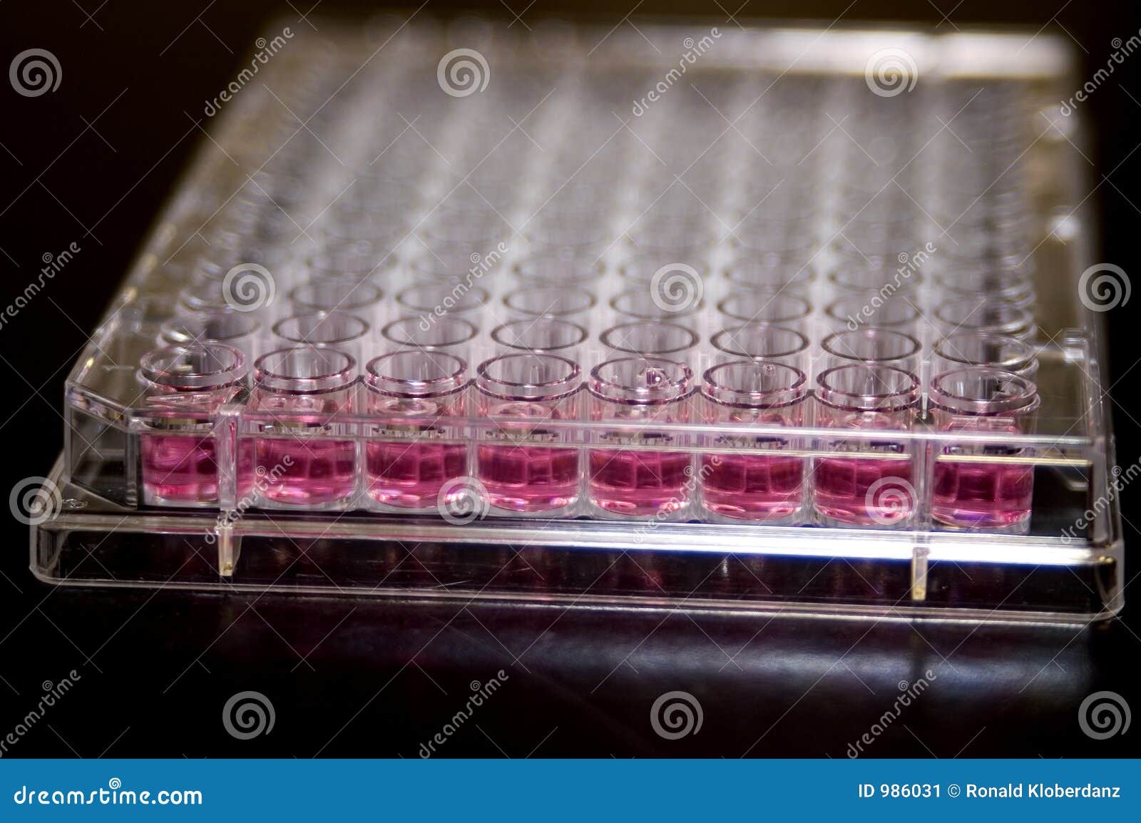 96-well Plate with Red Buffer Stock Image - Image of science, bench: 986031