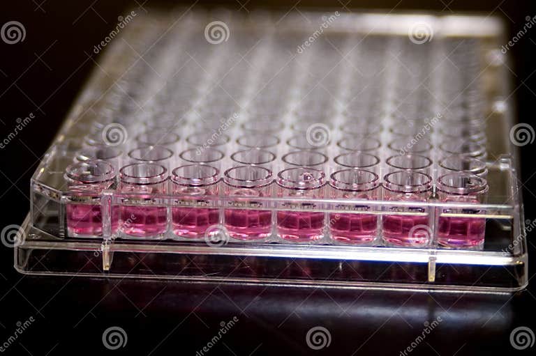 96-well Plate with Red Buffer Stock Image - Image of science, bench: 986031