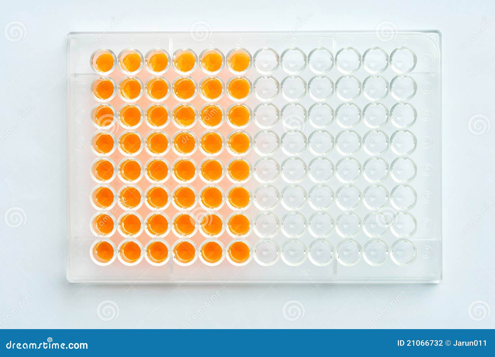 96 wells plate stock photo. Image of wells, immunology - 21066732