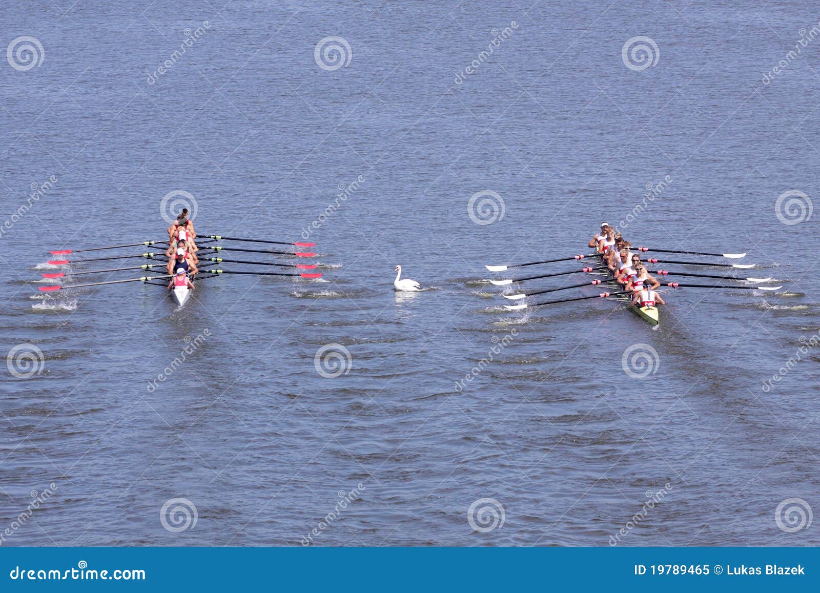 Rowing Race Aerial