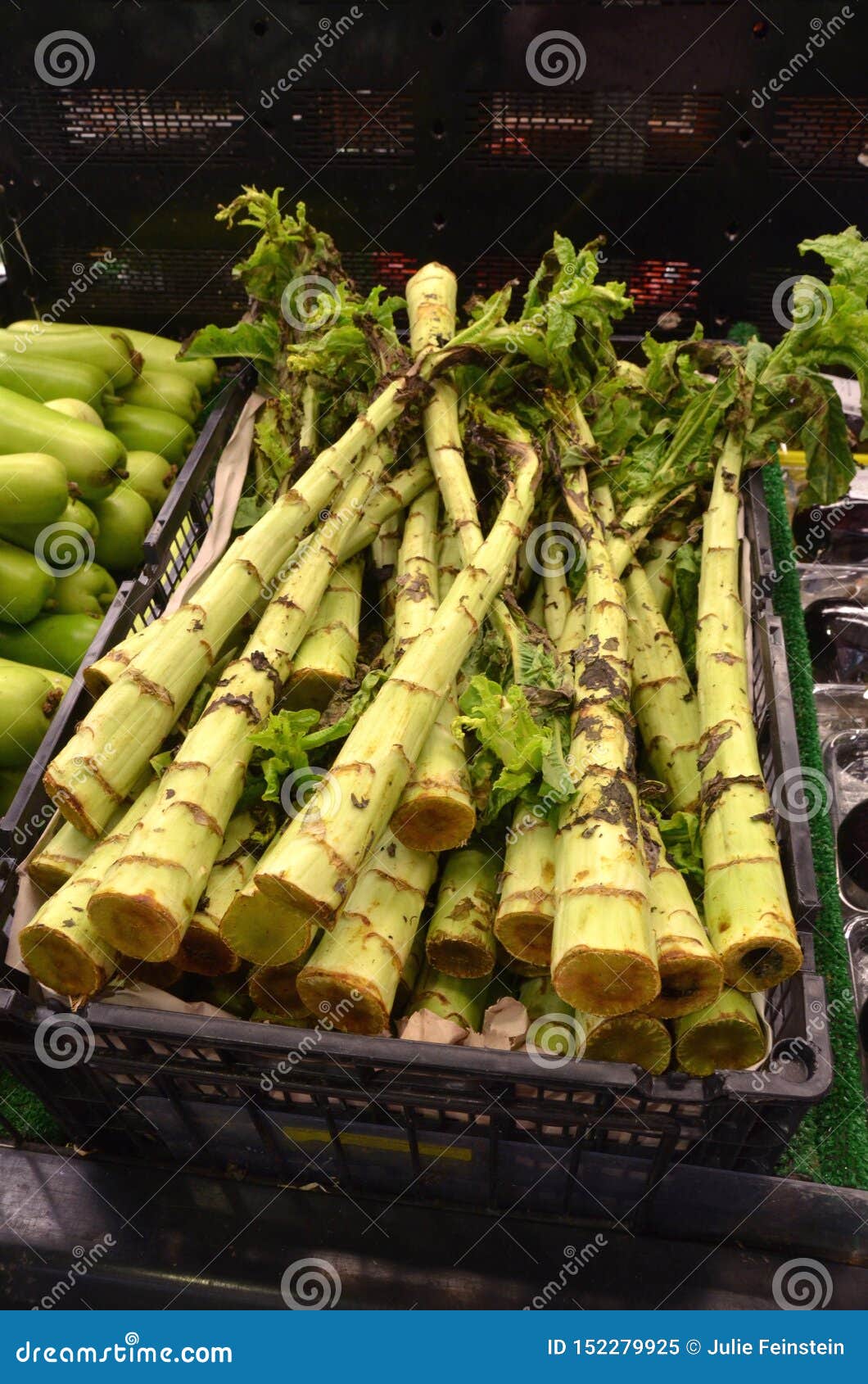 Aa Choy Stock Photos - Free & Royalty-Free Stock Photos from Dreamstime