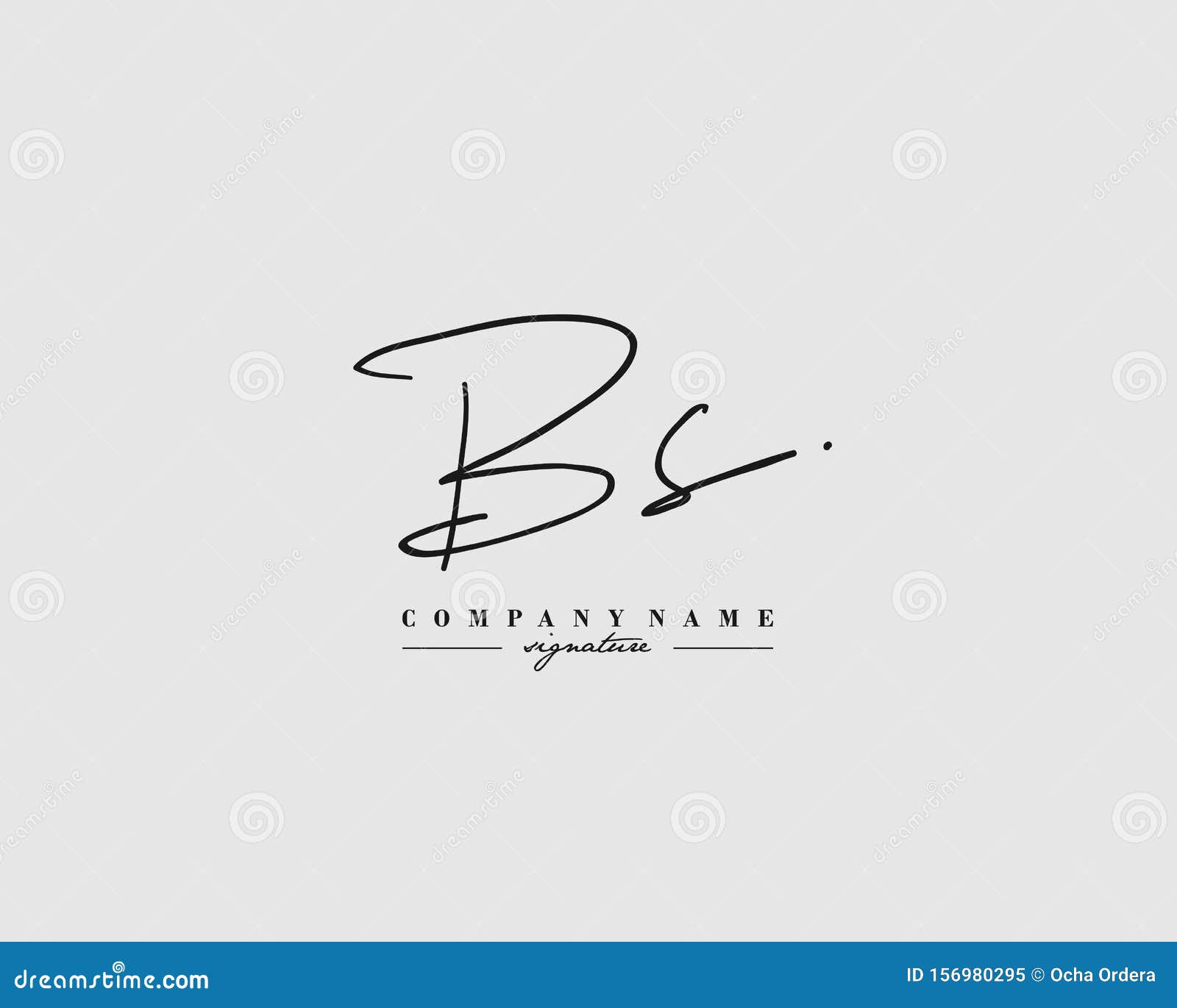 BS Signature Initial Logo Template Vector. Initial Signature Logo ...