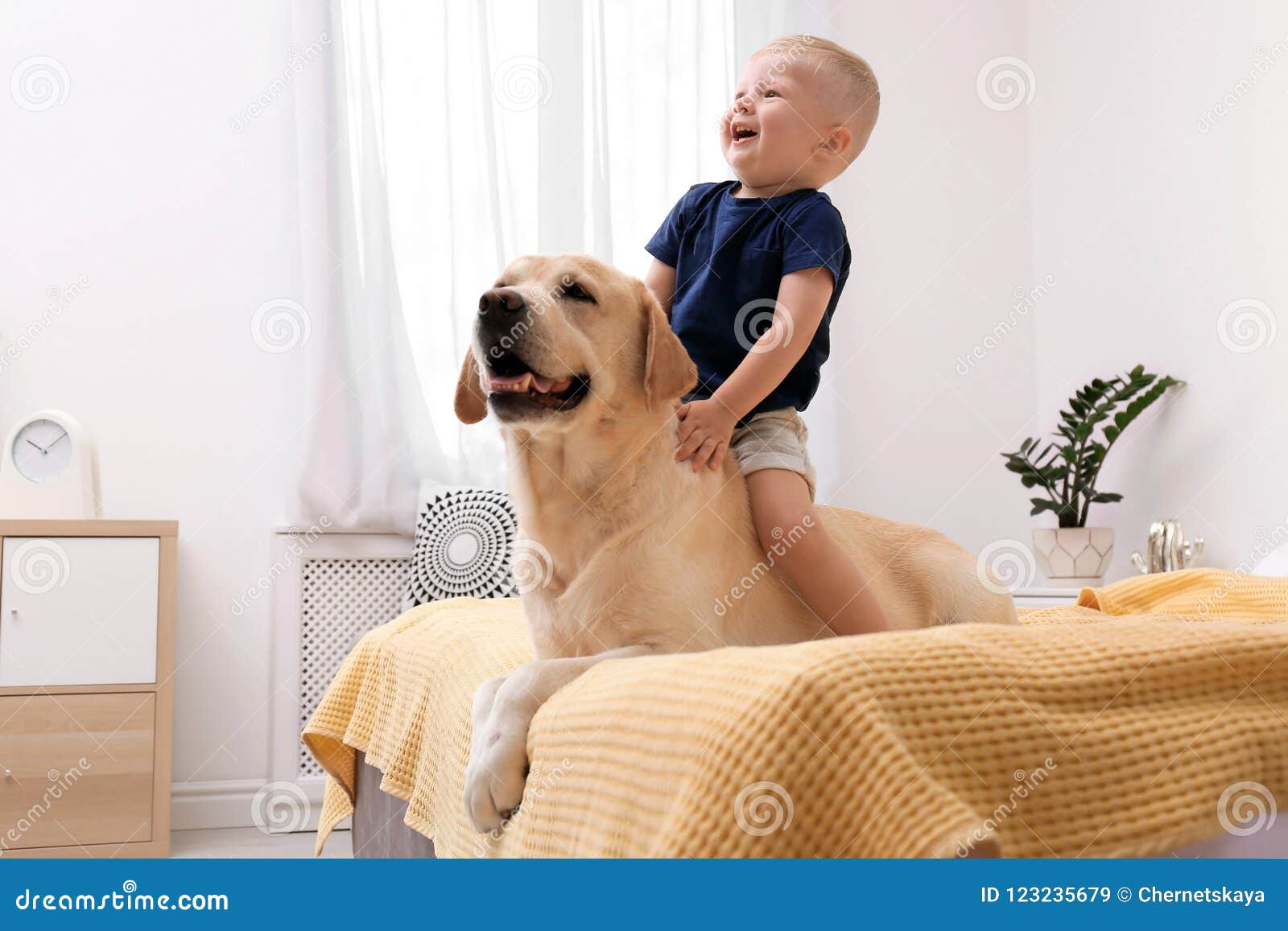 Aanbiddelijk Geel Labrador Retriever En Weinig Jongen Stock Afbeelding ... Aanbiddelijk Geel Labrador Retriever En Weinig Jongen Stock Afbeelding ...