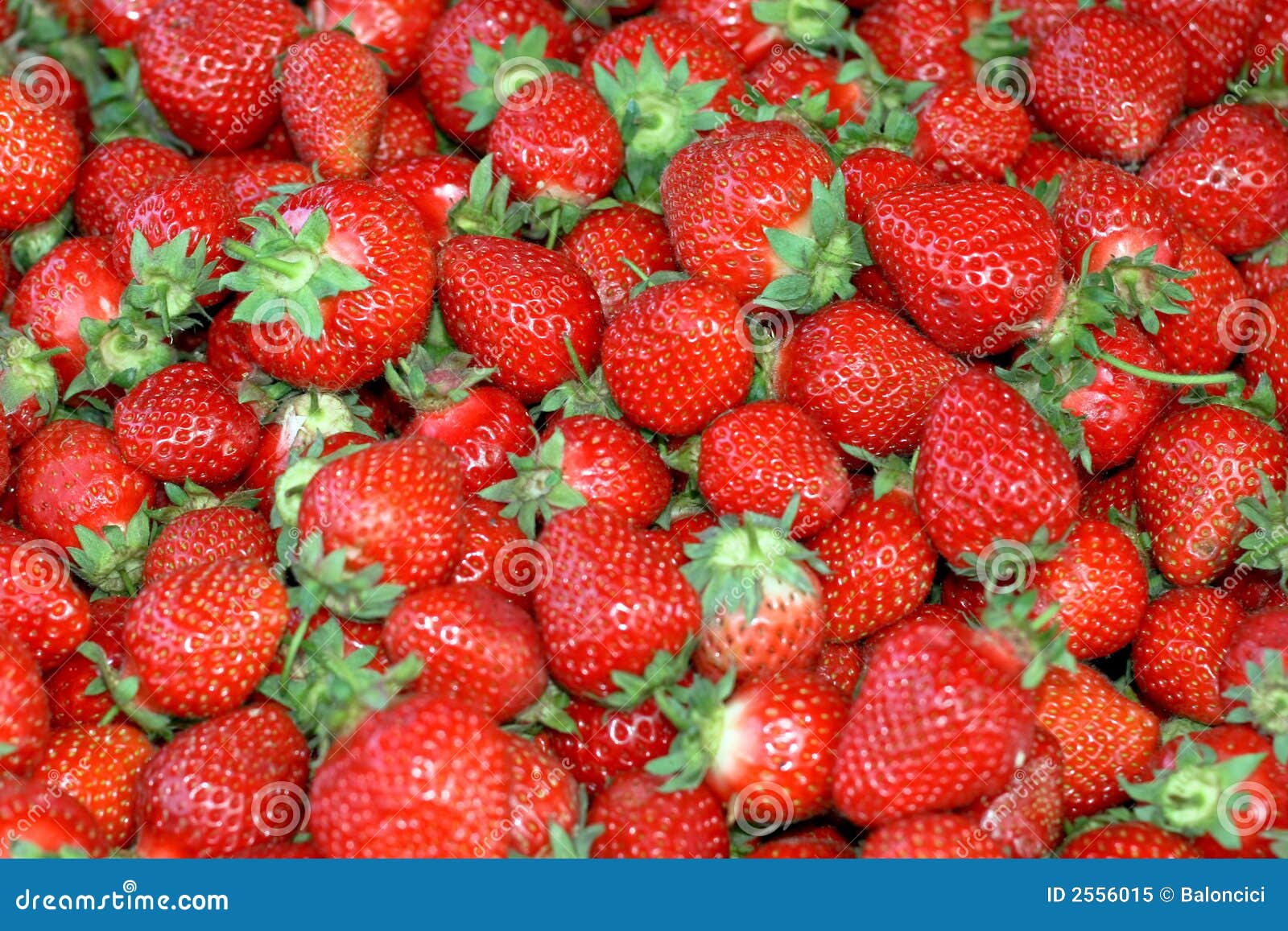 Aardbeien stock afbeelding. Image of kleur, voedsel, aardbei - 2556015