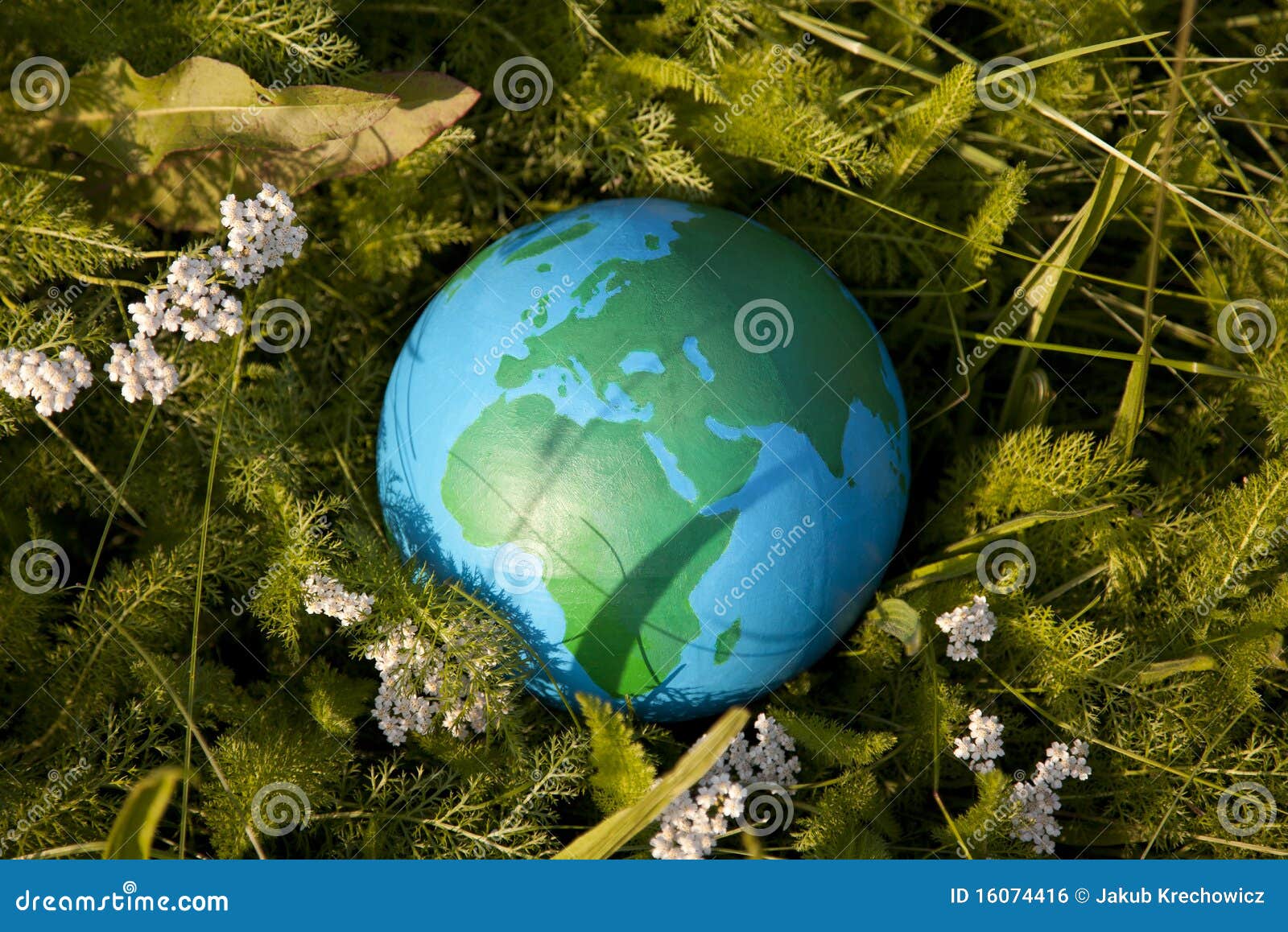 Aarde en groen gras stock foto. Image of bloemen, gebied - 16074416