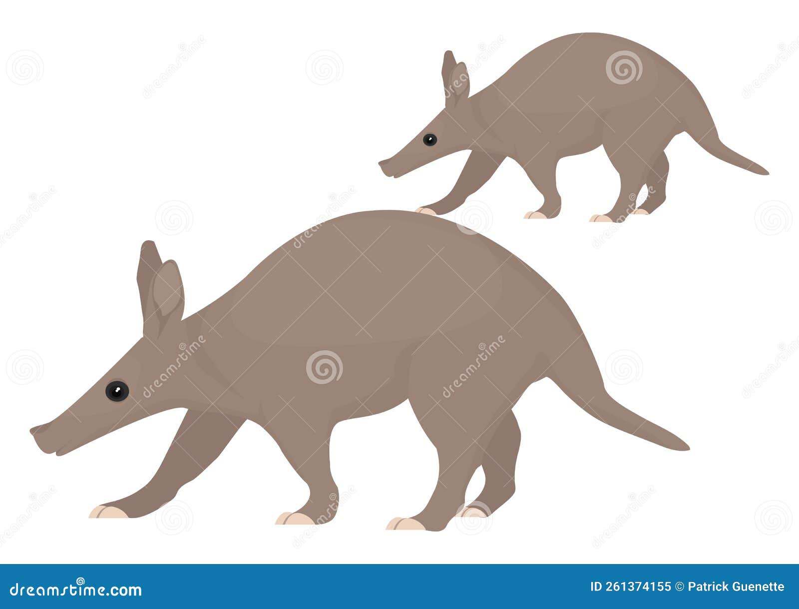 Aardvark animal, icon stock vector. Illustration of fauna - 261374155