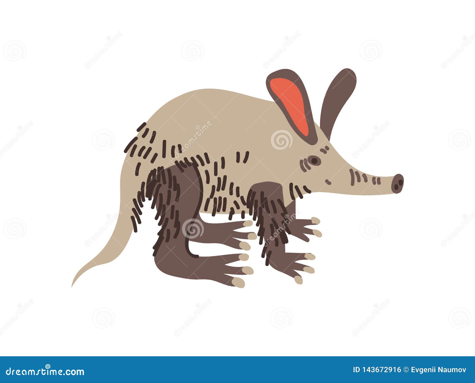 Aardvark Wild Exotic African Animal Vector Illustration Stock Vector ...