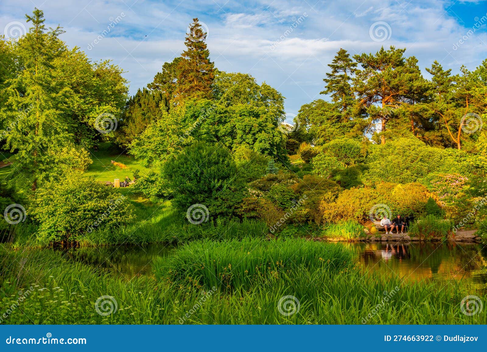 Aarhus Botanical Garden in Denmark Stock Photo - Image of field ...