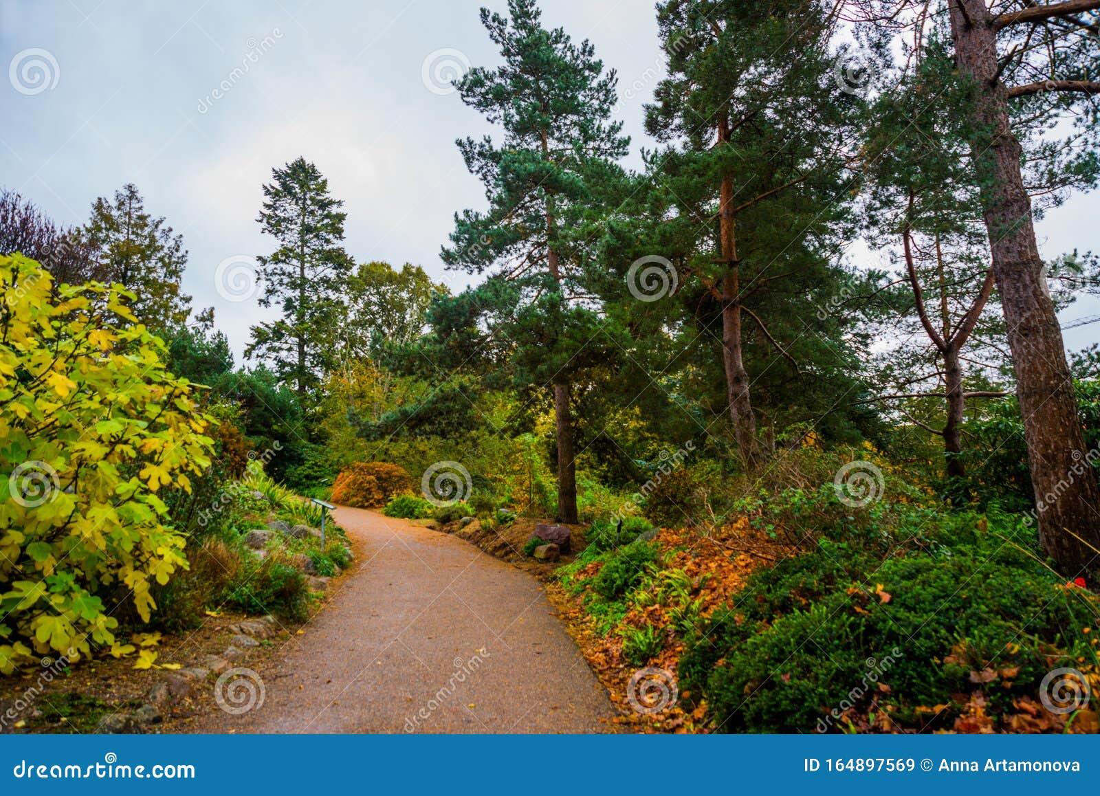 AARHUS, DENMARK: Beautiful Landscape Park in the City Stock Image ...