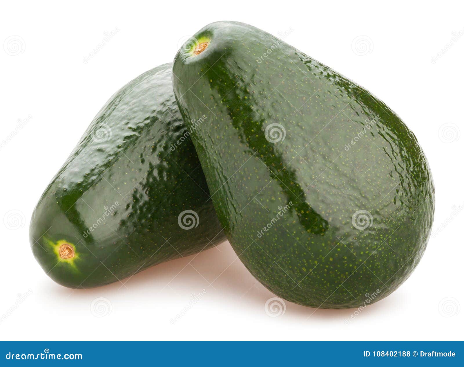Abacate foto de stock. Imagem de alimento, brilhante - 108402188