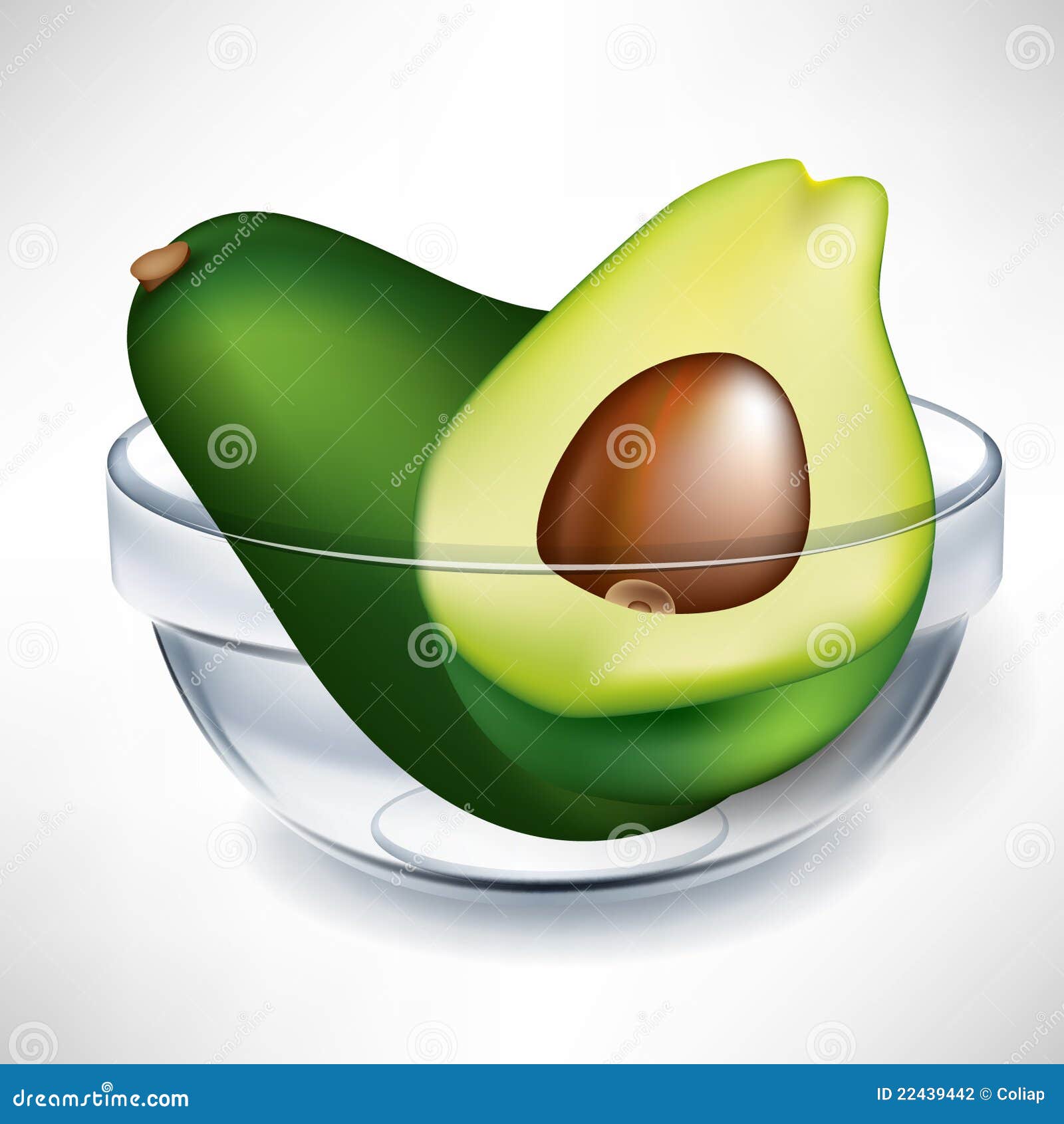 Abacate e fatia na bacia ilustração do vetor. Ilustração de fresco ...