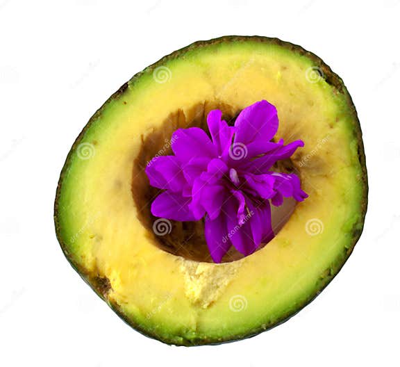 Abacate e flor roxa imagem de stock. Imagem de meio, salada - 14440867