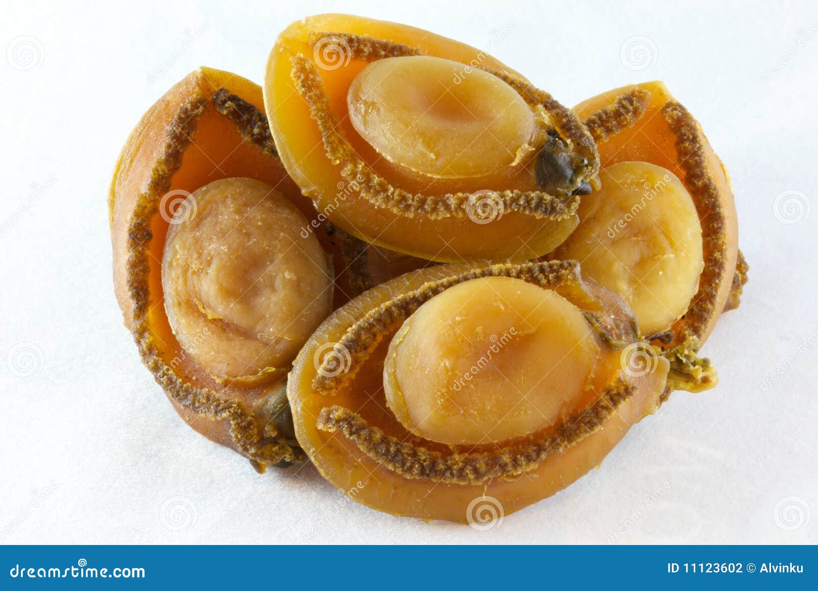 Abalone stock photo. Image of food, closeup, chinese - 11123602