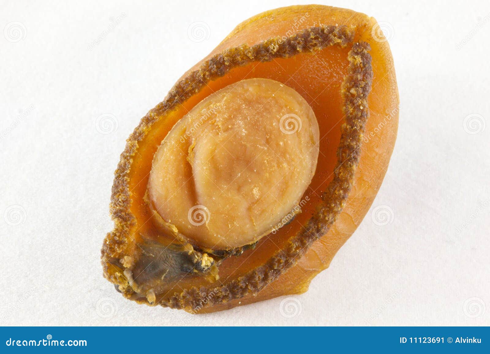 Abalone stock image. Image of mussel, seafood, culture - 11123691