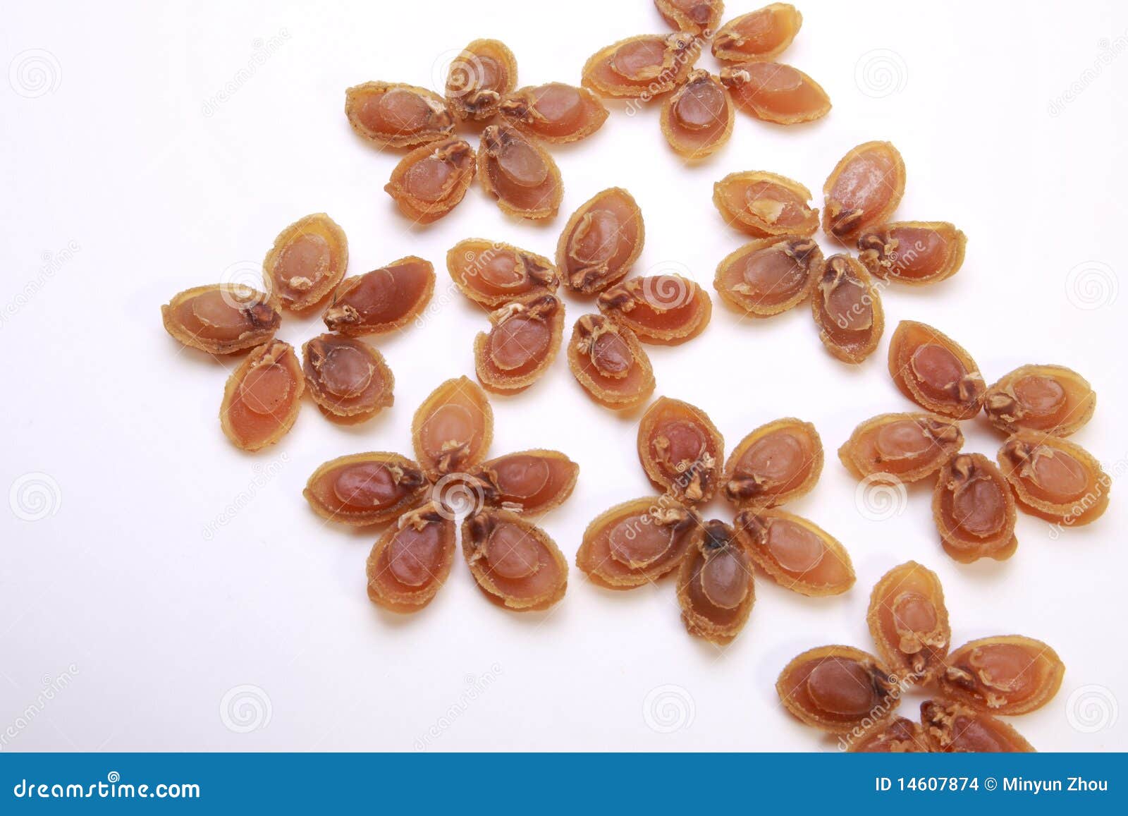 Abalone stock photo. Image of close, culinary, health - 14607874