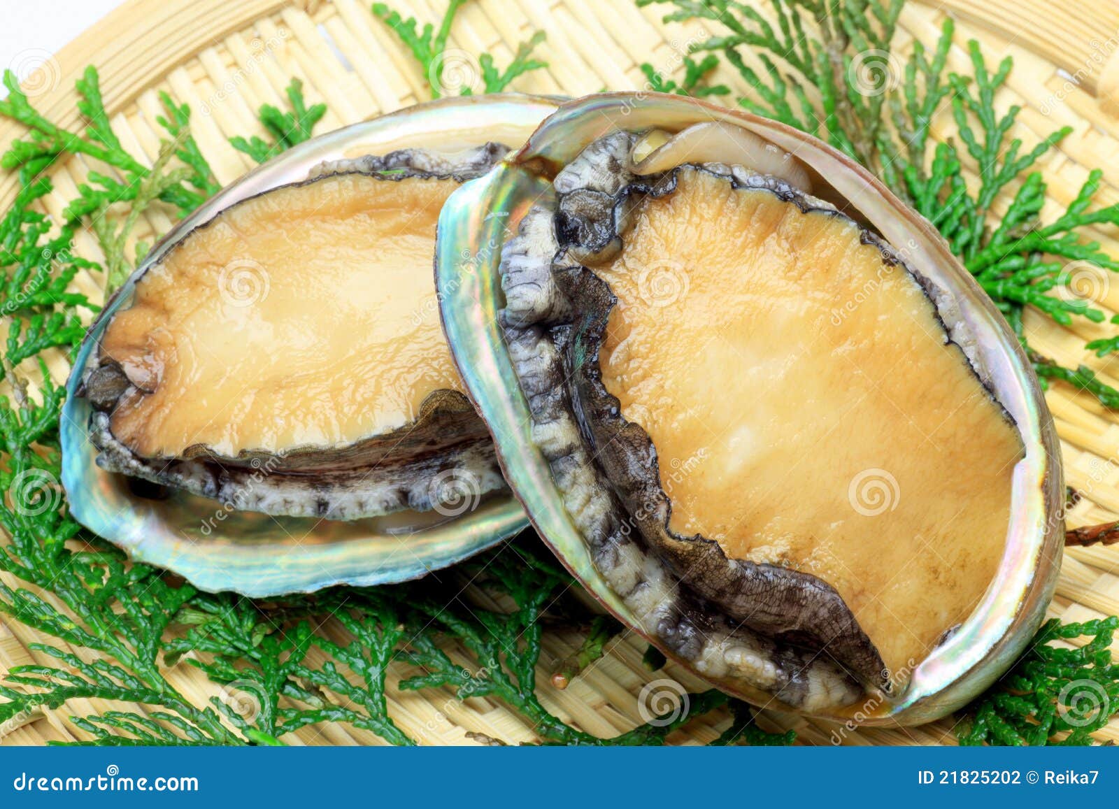 Abalone stock photo. Image of products, high, shellfish - 21825202