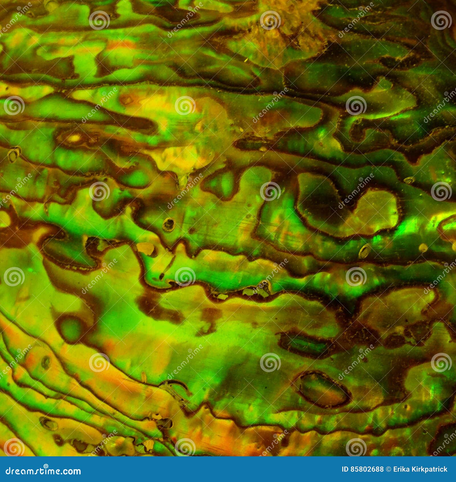 Abalone Background stock photo. Image of scrapbook, marine - 85802688