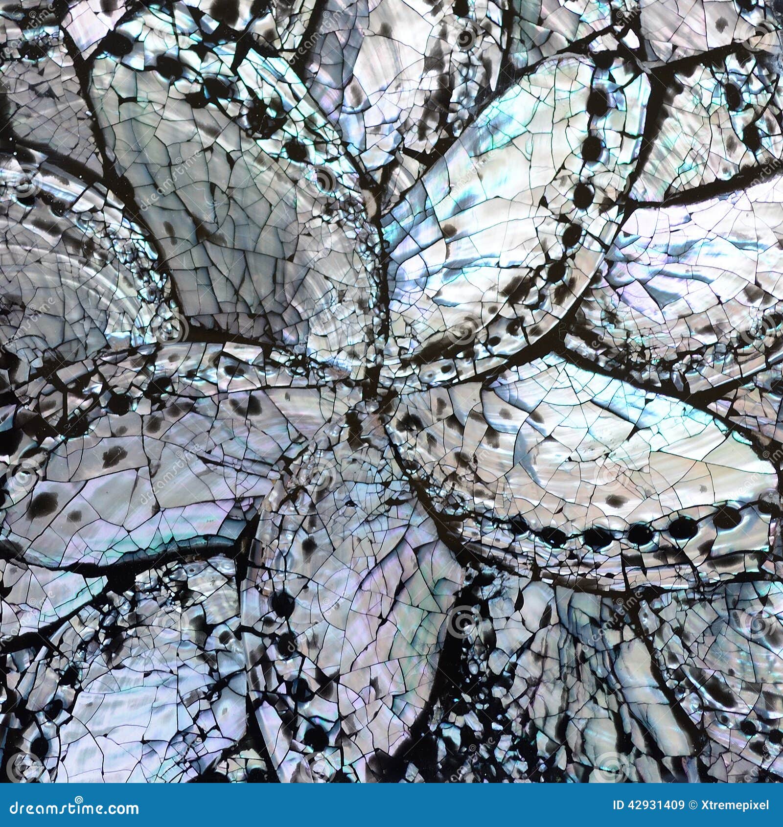 Abalone Shell Texture Stock Photography | CartoonDealer.com #39477710