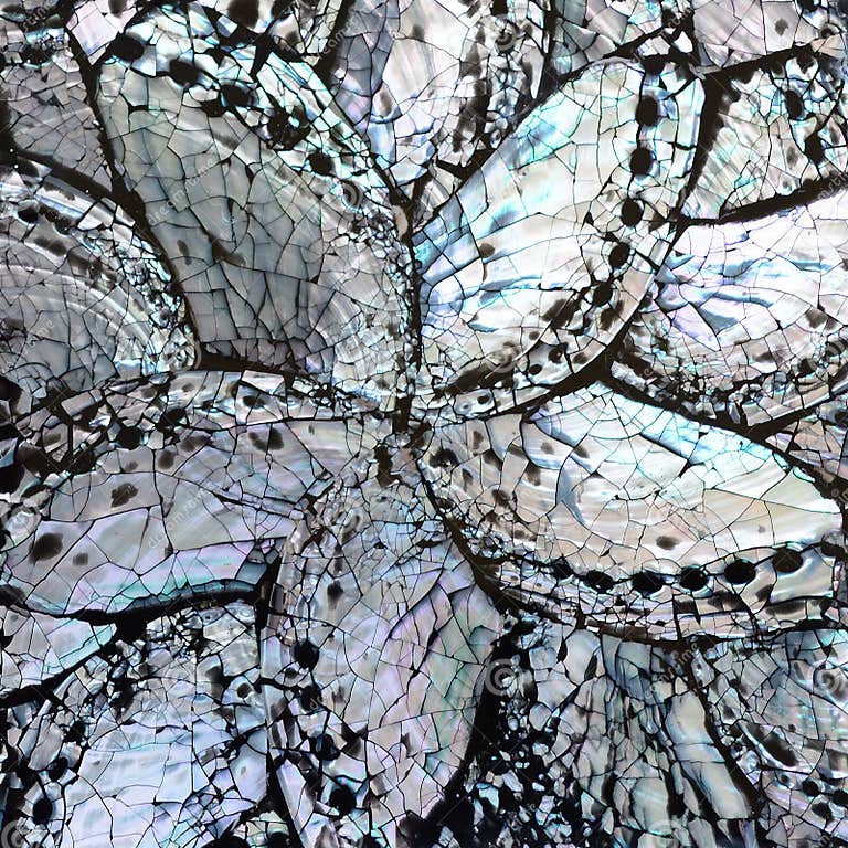 Abalone shell pattern stock image. Image of black, turquoise - 42931409