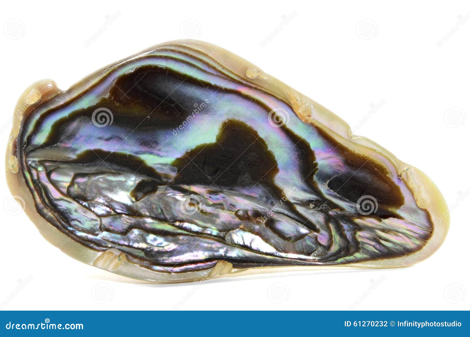 Abalone Shell Texture Stock Photography | CartoonDealer.com #39477710