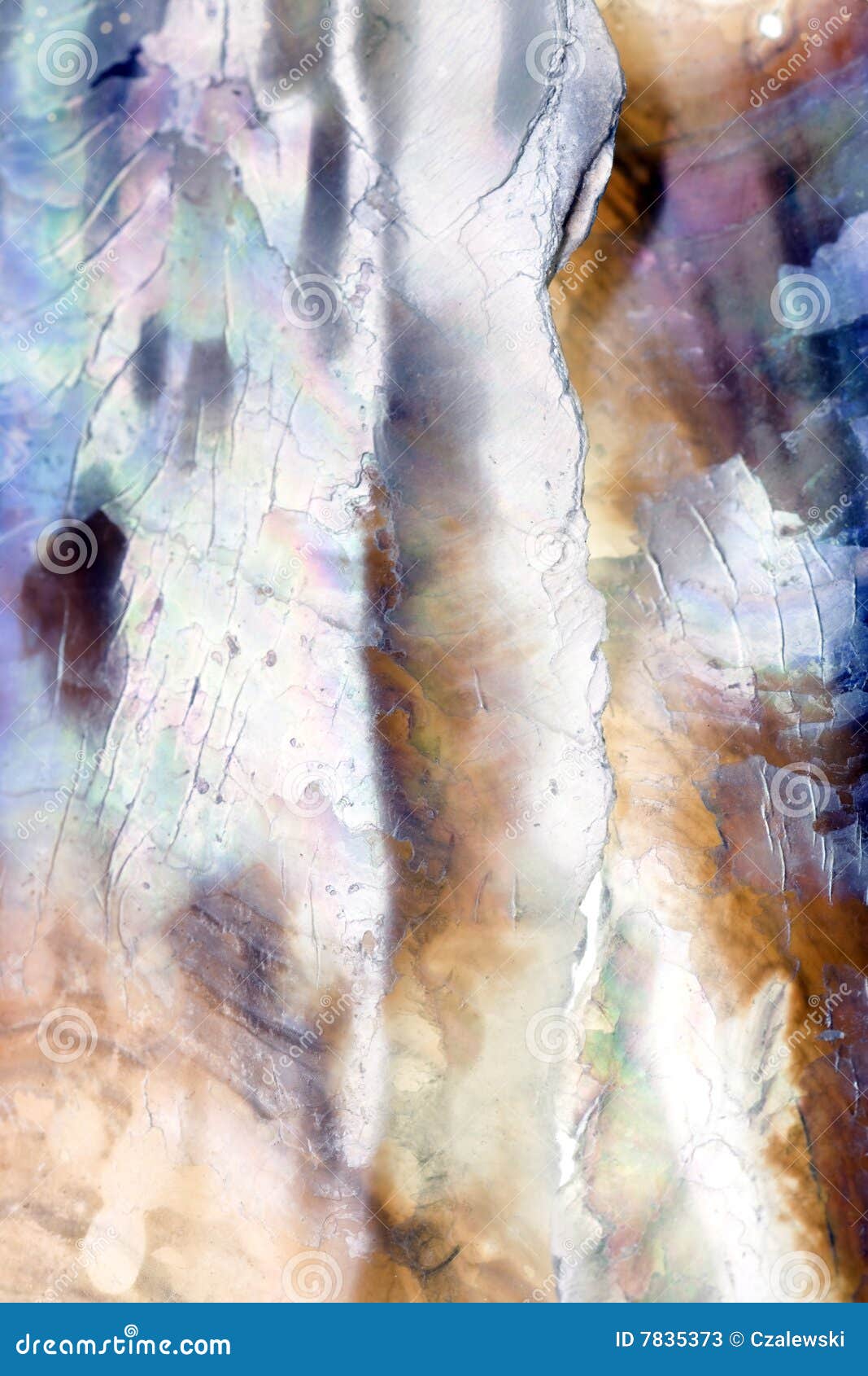 Abalone Shell Texture Shot with Macro Lens Stock Image - Image of frame ...