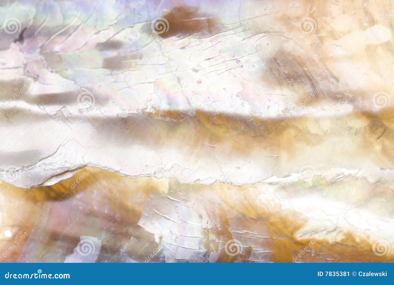 Abalone Shell Texture Shot with Macro Lens Stock Image - Image of ...