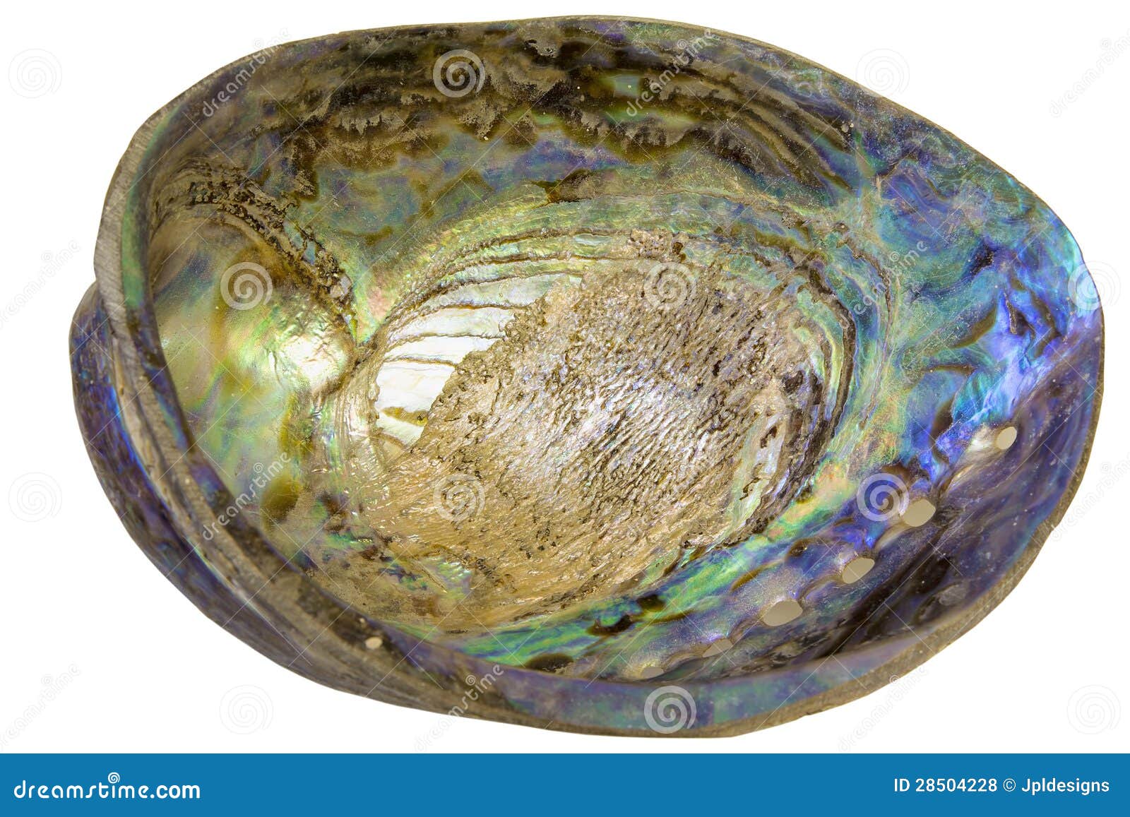 Abalone Shell Van Paua Binnen Close-up Stock Foto - Image of overzees, groen: 28504228