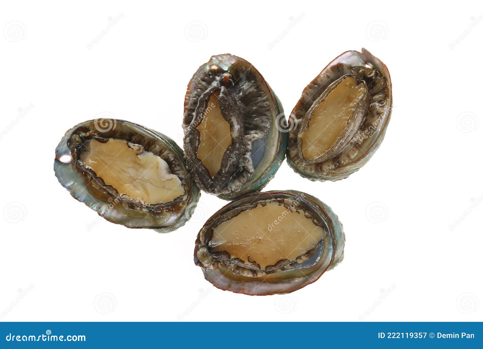Abalone Shellfish on a White Background Stock Image - Image of fresh ...